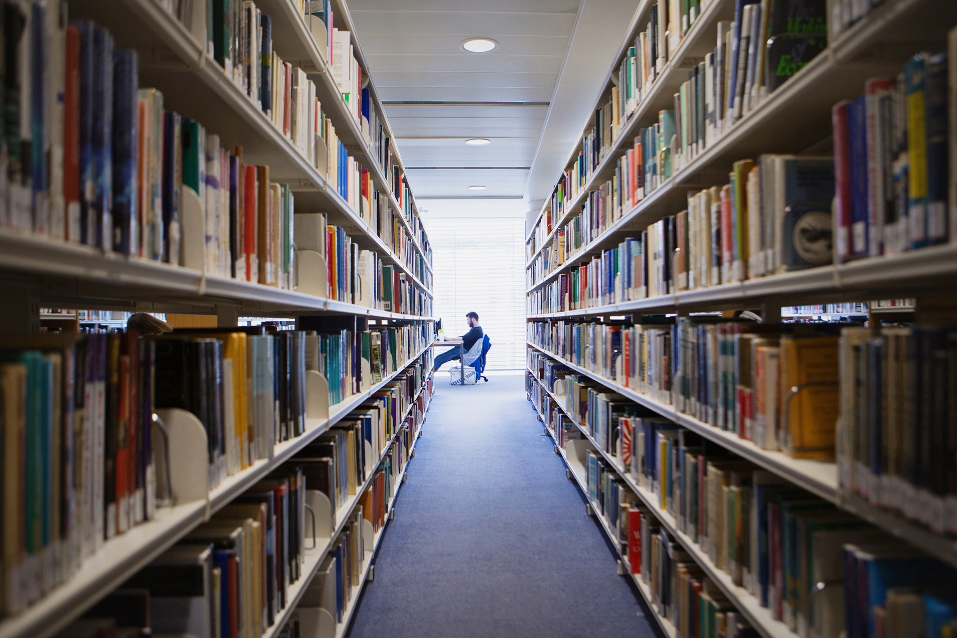 Before you apply - undergraduate degree