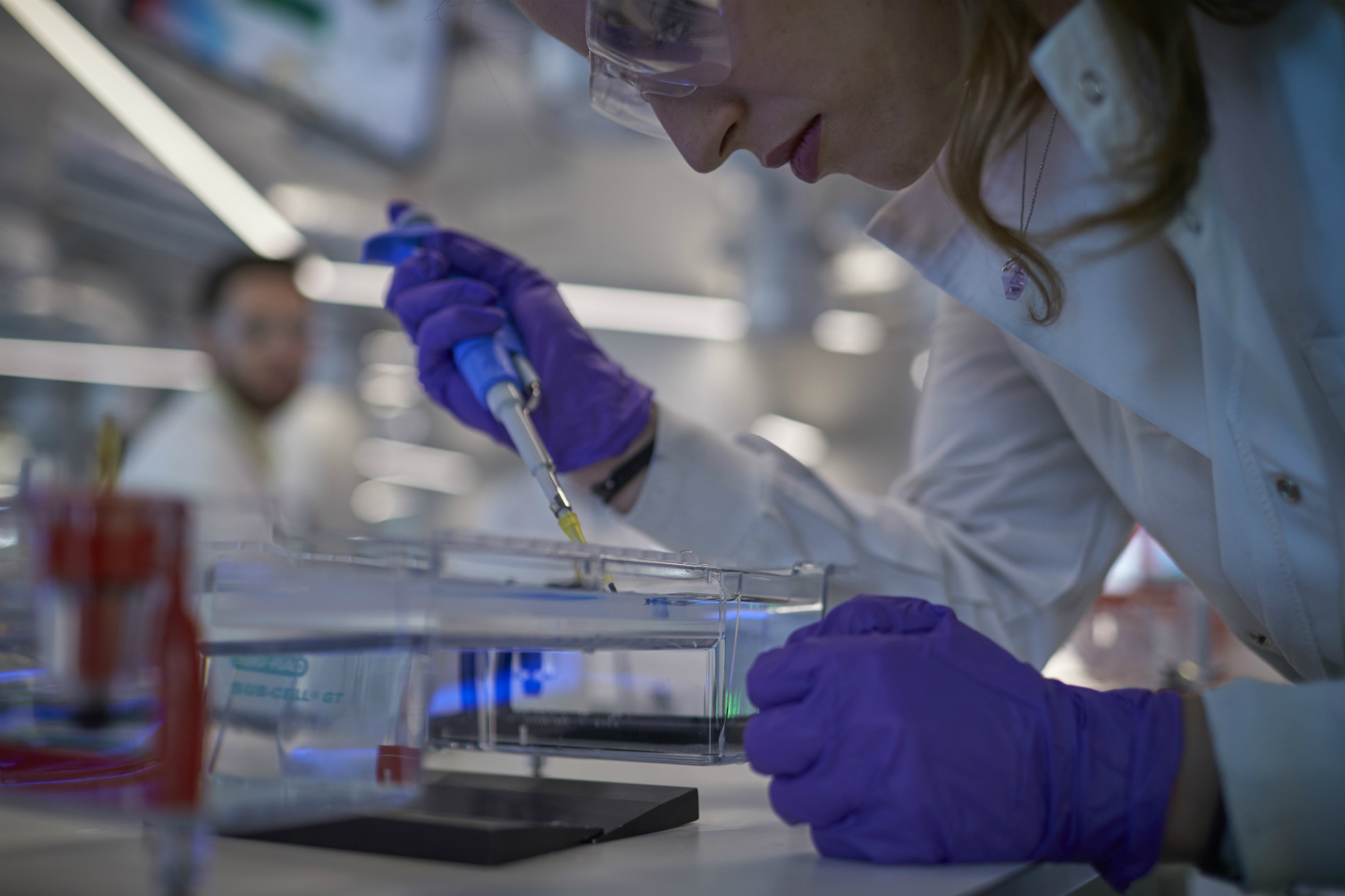 MSc Biomedical Sciences | Abertay University