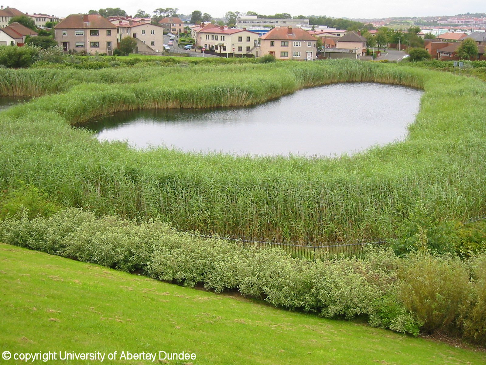 Retention Ponds | Abertay University