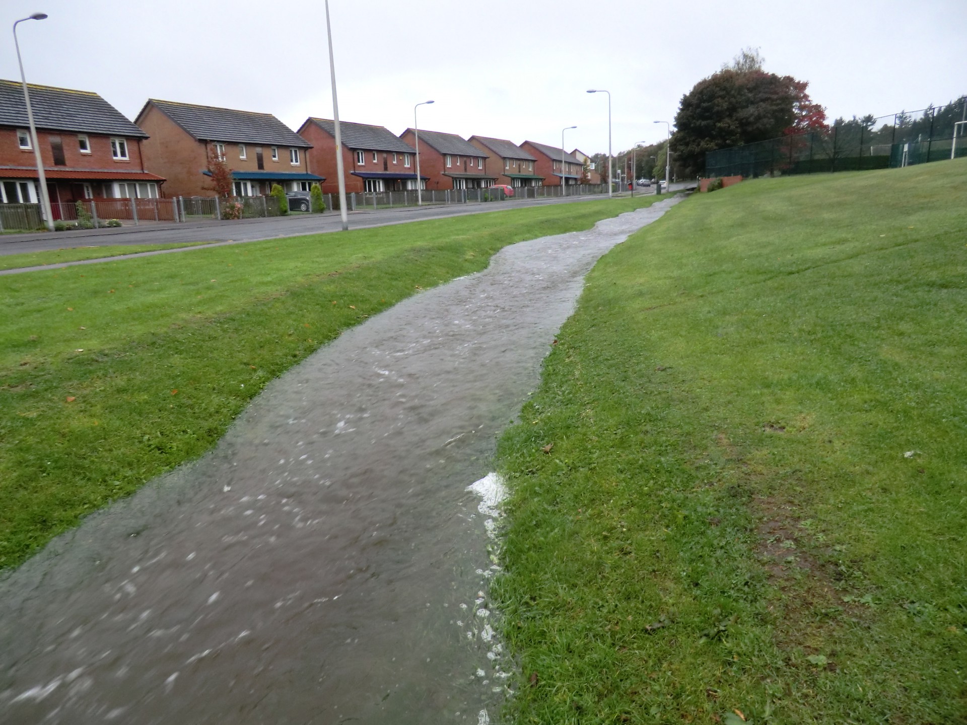 Swales | Abertay University