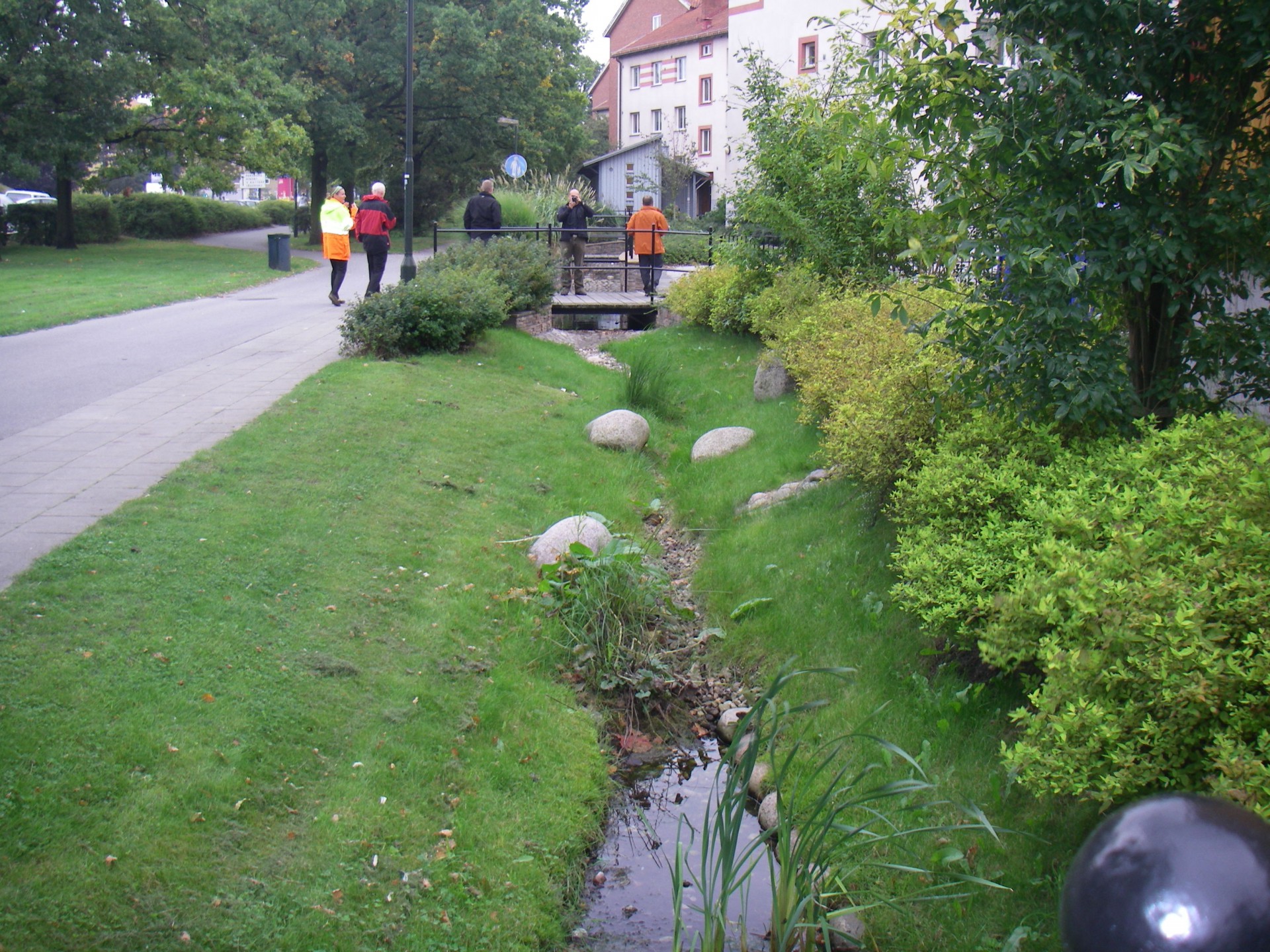 Swales | Abertay University