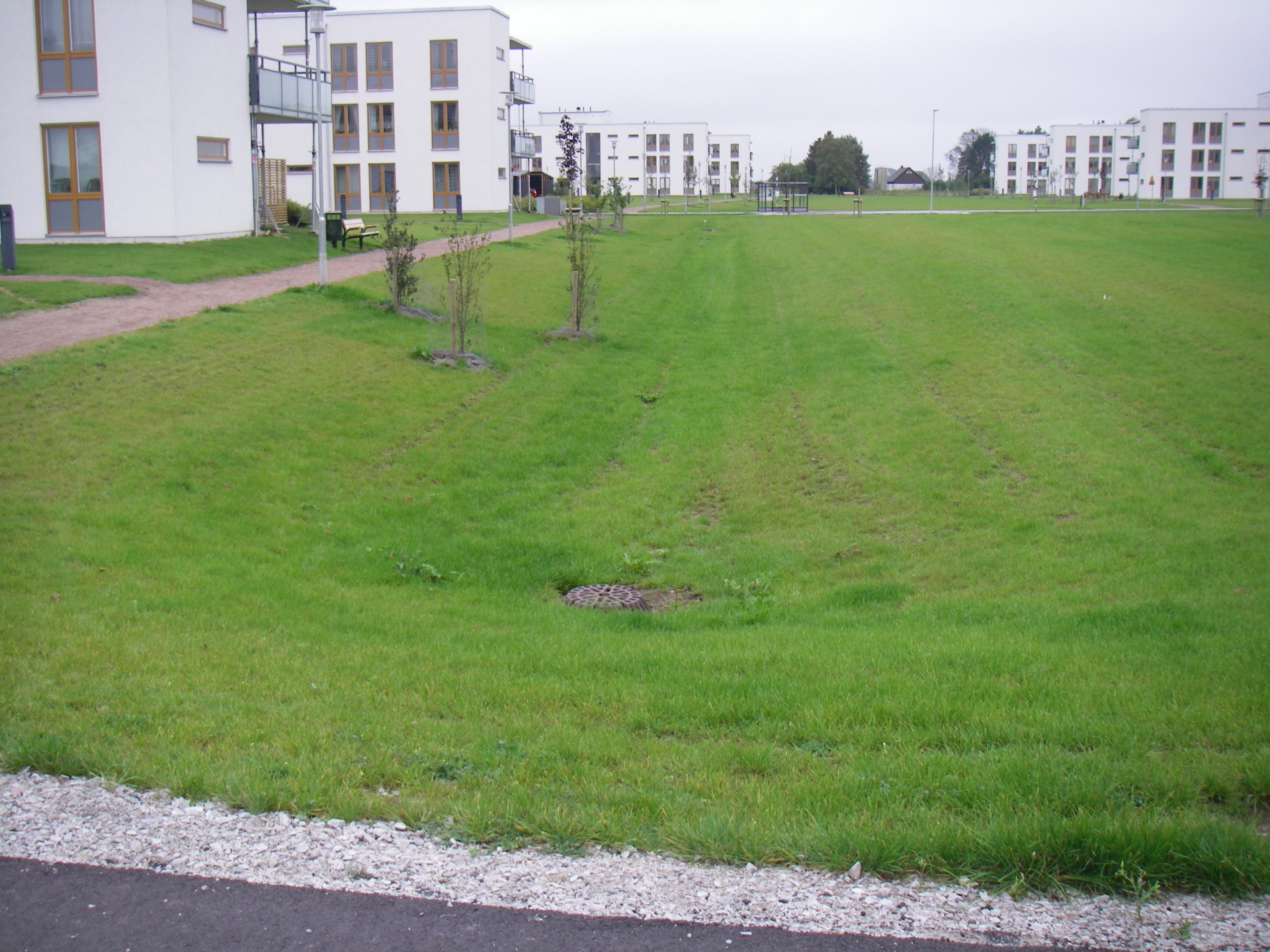 Swales | Abertay University